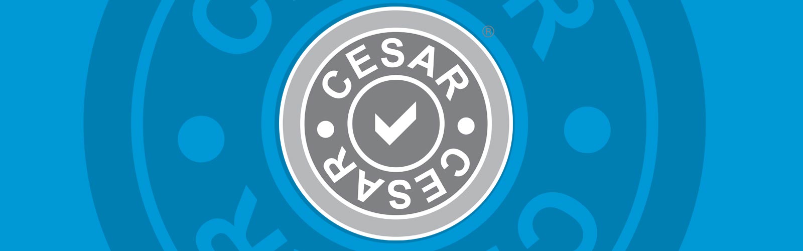 CESAR – THE CONSTRUCTION EQUIPMENT SECURITY AND REGISTRATION SCHEME ...